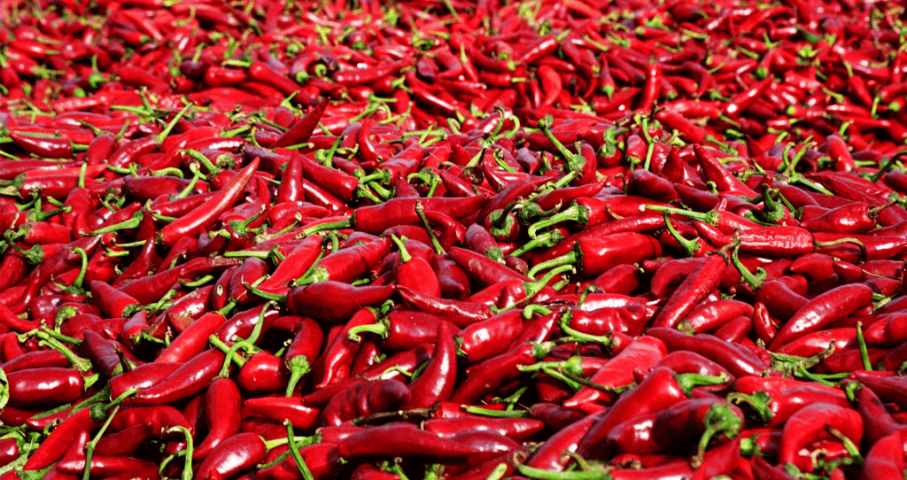 PaprikaMolnar Mill, Museum & Shop - Röszke, Hungary